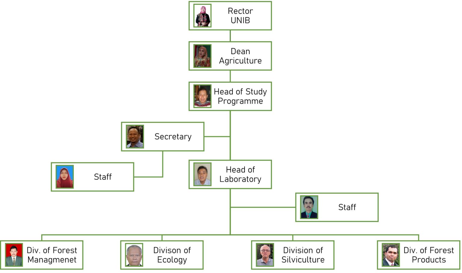 Organizational Structure - Bachelor in Forestry