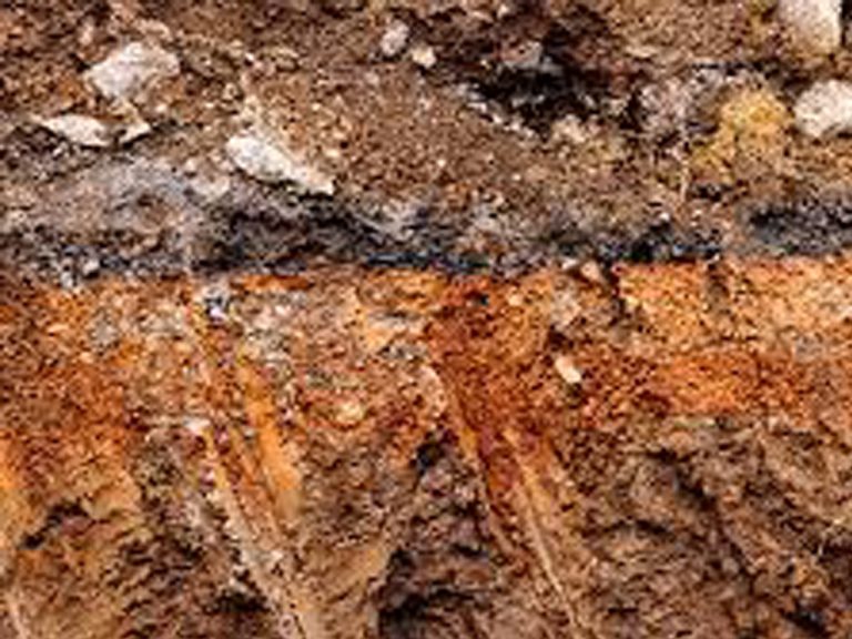 Home - Bachelor Soils Science